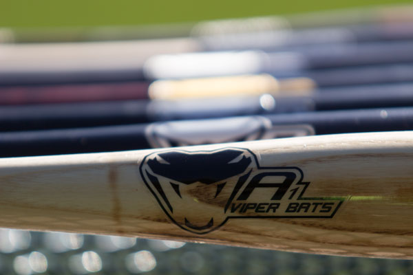 Adult Wood Baseball Bats